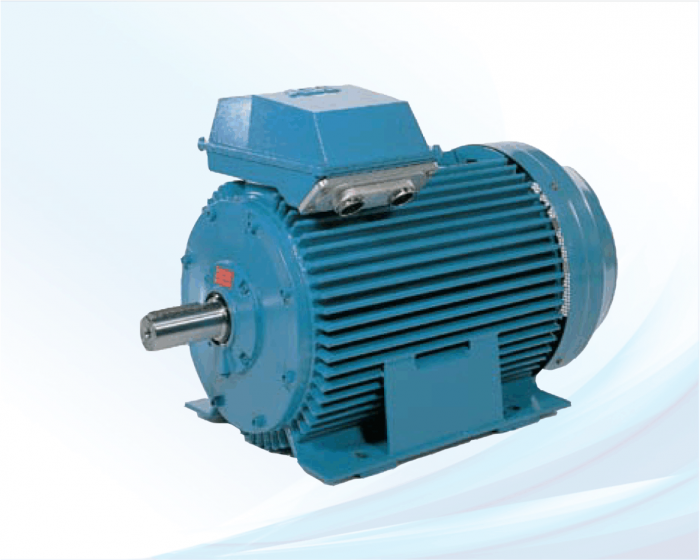 BIMA BELT | ABB – IEC MOTOR